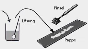 Grundschule Wasser - experimente-und-projekte-im-biologieunterricht